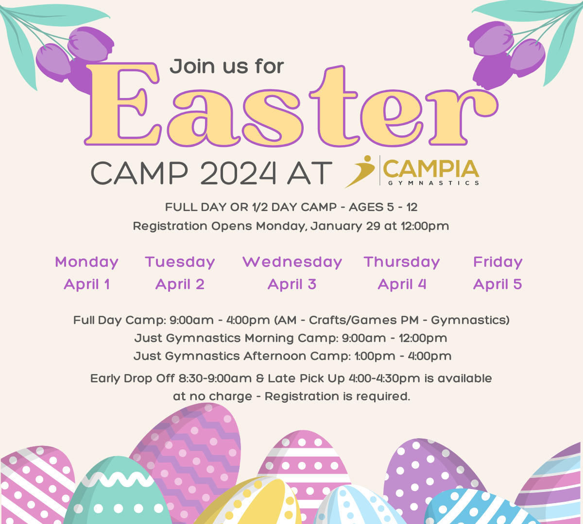 Easter Camp :: Campia Gymnastics Club Inc